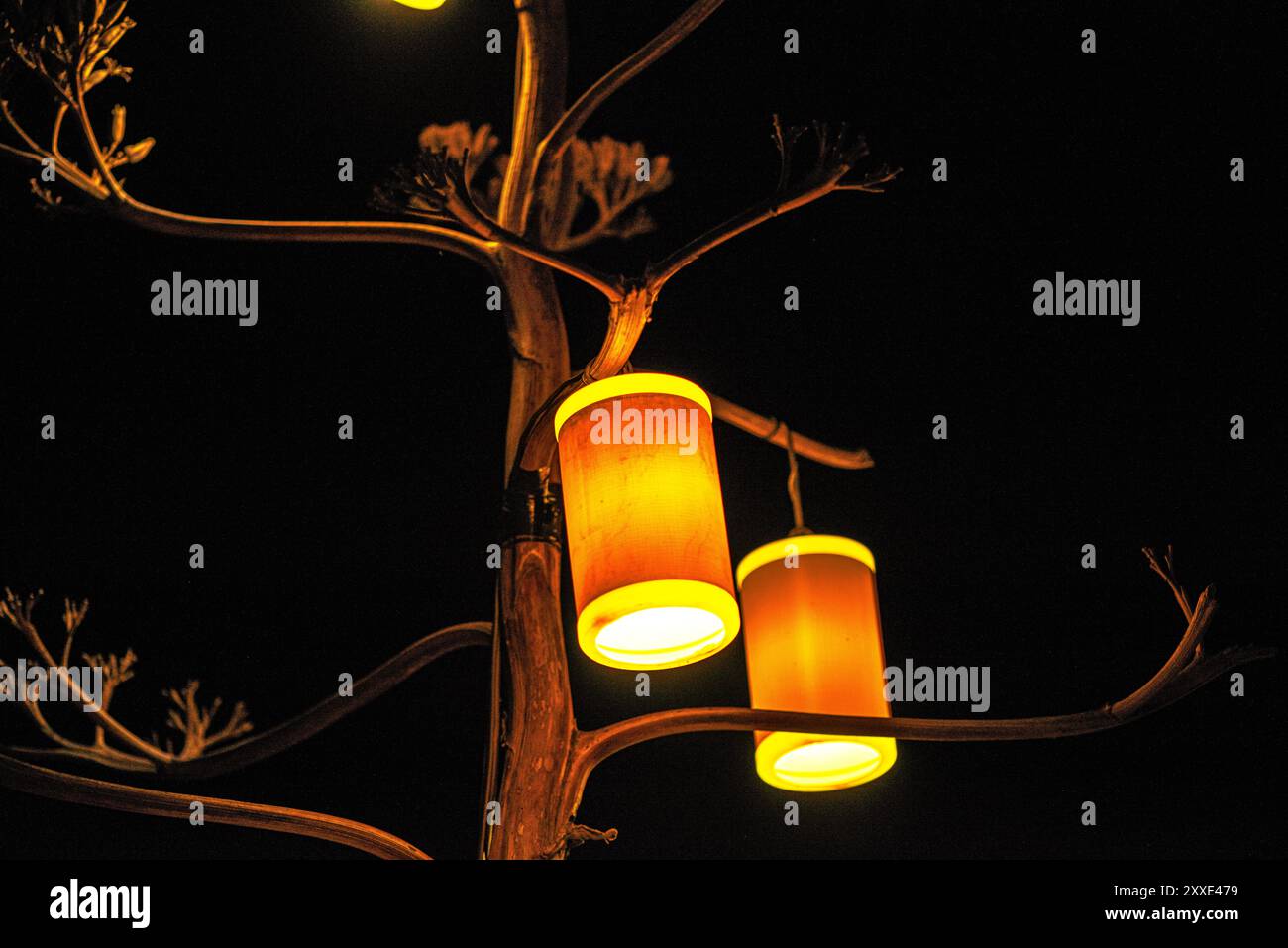 A captivating night scene featuring shining lanterns hanging from a ...