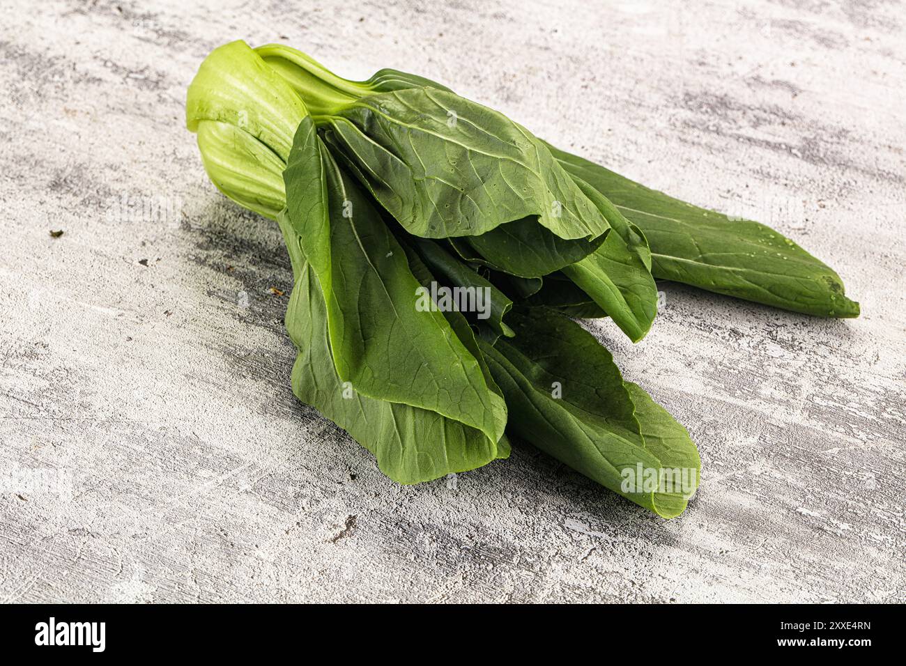 Raw asian Pak Choy salad cabbage Stock Photo - Alamy