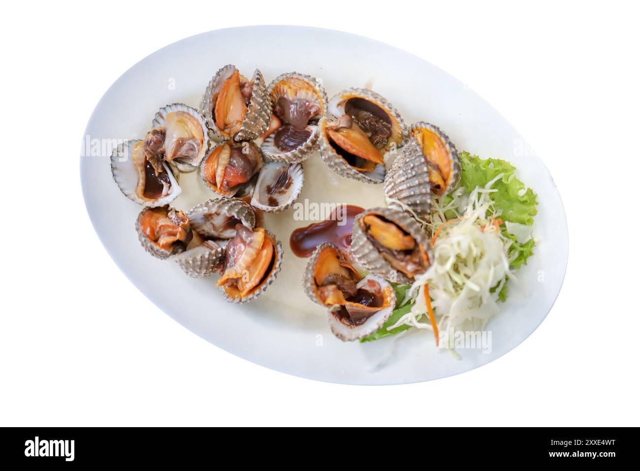 Cockle seafood vector hi-res stock photography and images - Alamy