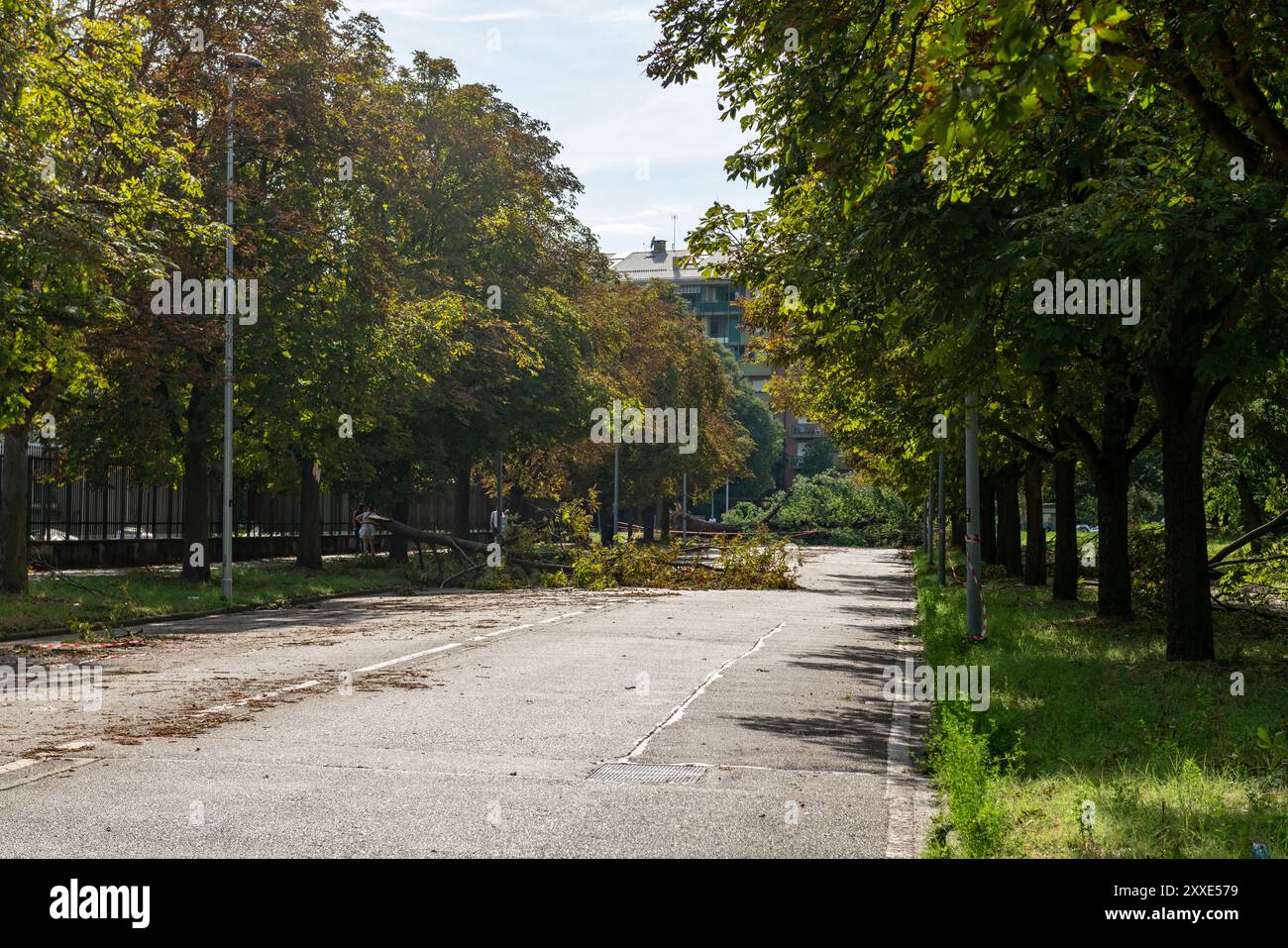 trees felled and trunks broken by strong gusts of wind on the city ...