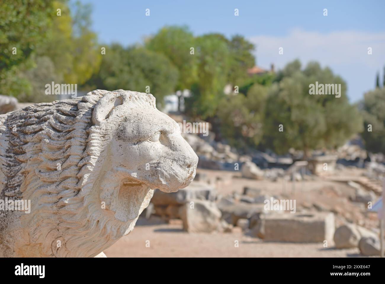 Architecture, statue and ruin in city of Turkey for tourism ...