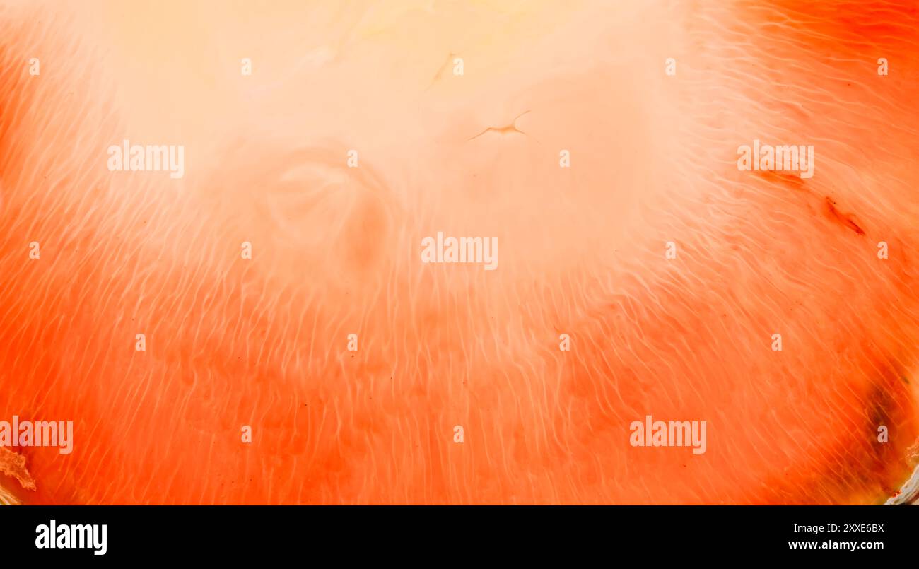 Abstract composition detail marble hi-res stock photography and images ...