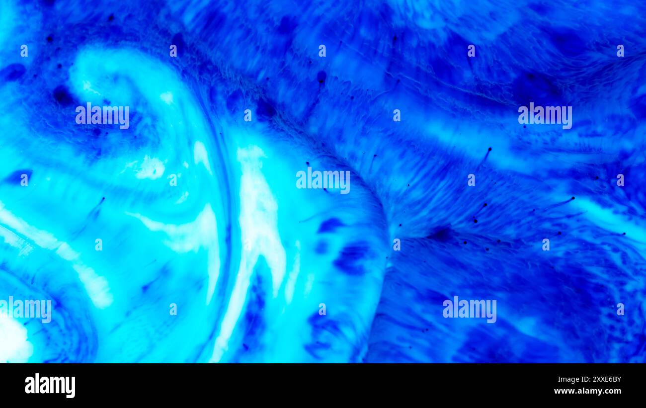 Abstract composition detail marble hi-res stock photography and images ...