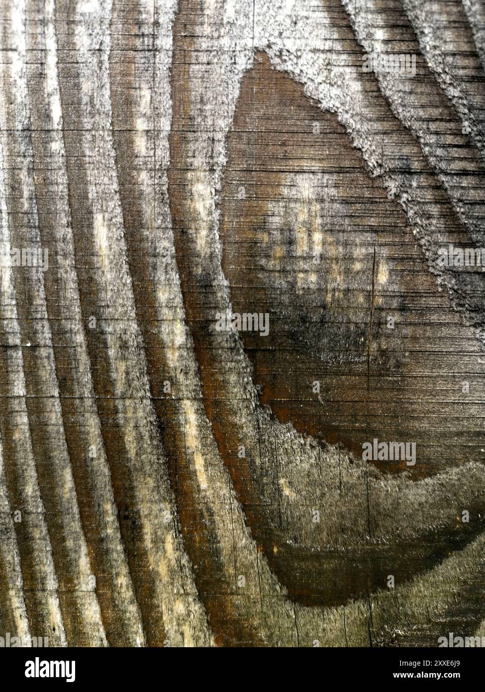 Fine Textures and Overlays for Photography and Artwork Stock Photo - Alamy