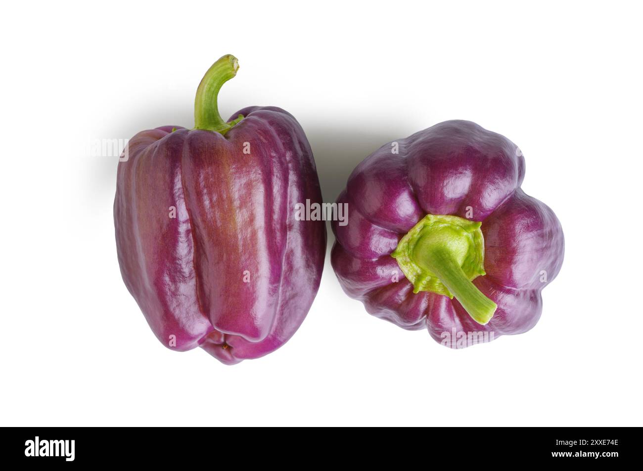 Two fresh raw paprika composition, purple sweet bell peppers with green ...