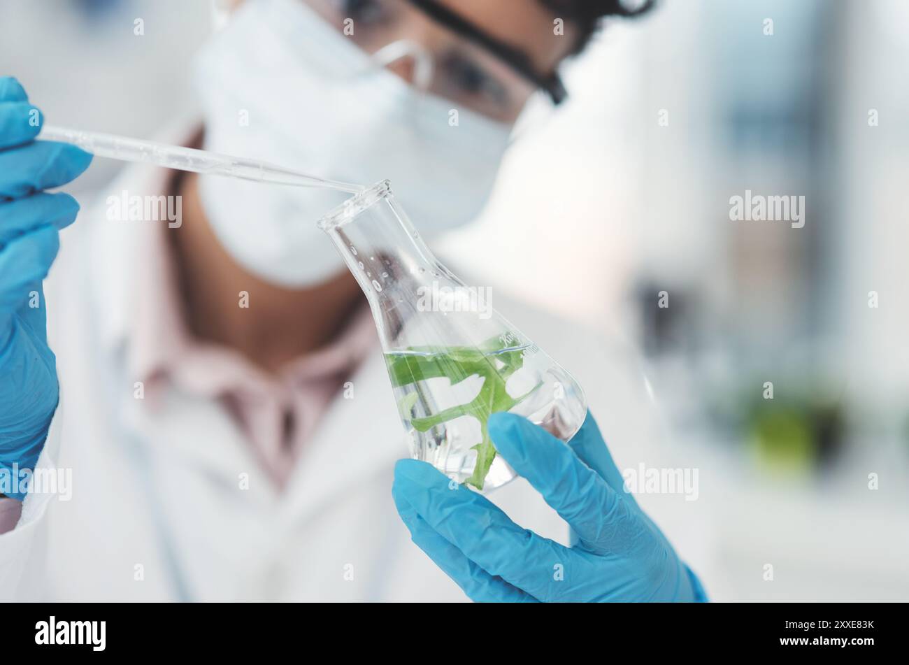 Scientist, beaker and person with plants in lab for phytology, experiment and medical ...