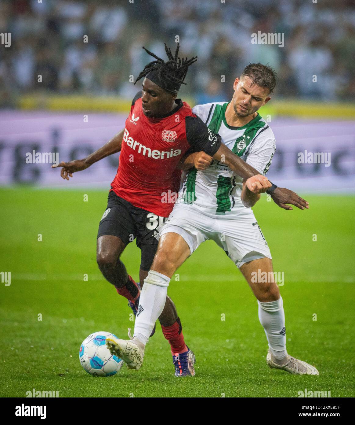 Kevin stöger 2025 hi-res stock photography and images - Alamy