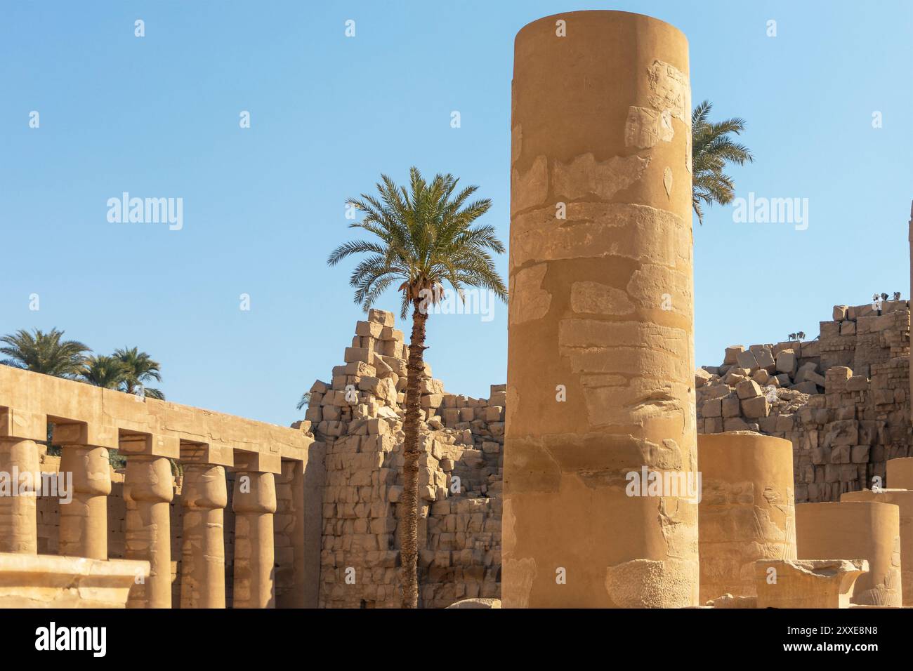 Amidst the sea of columns and sphinxes in Karnak's courtyard, Taharqa's ...