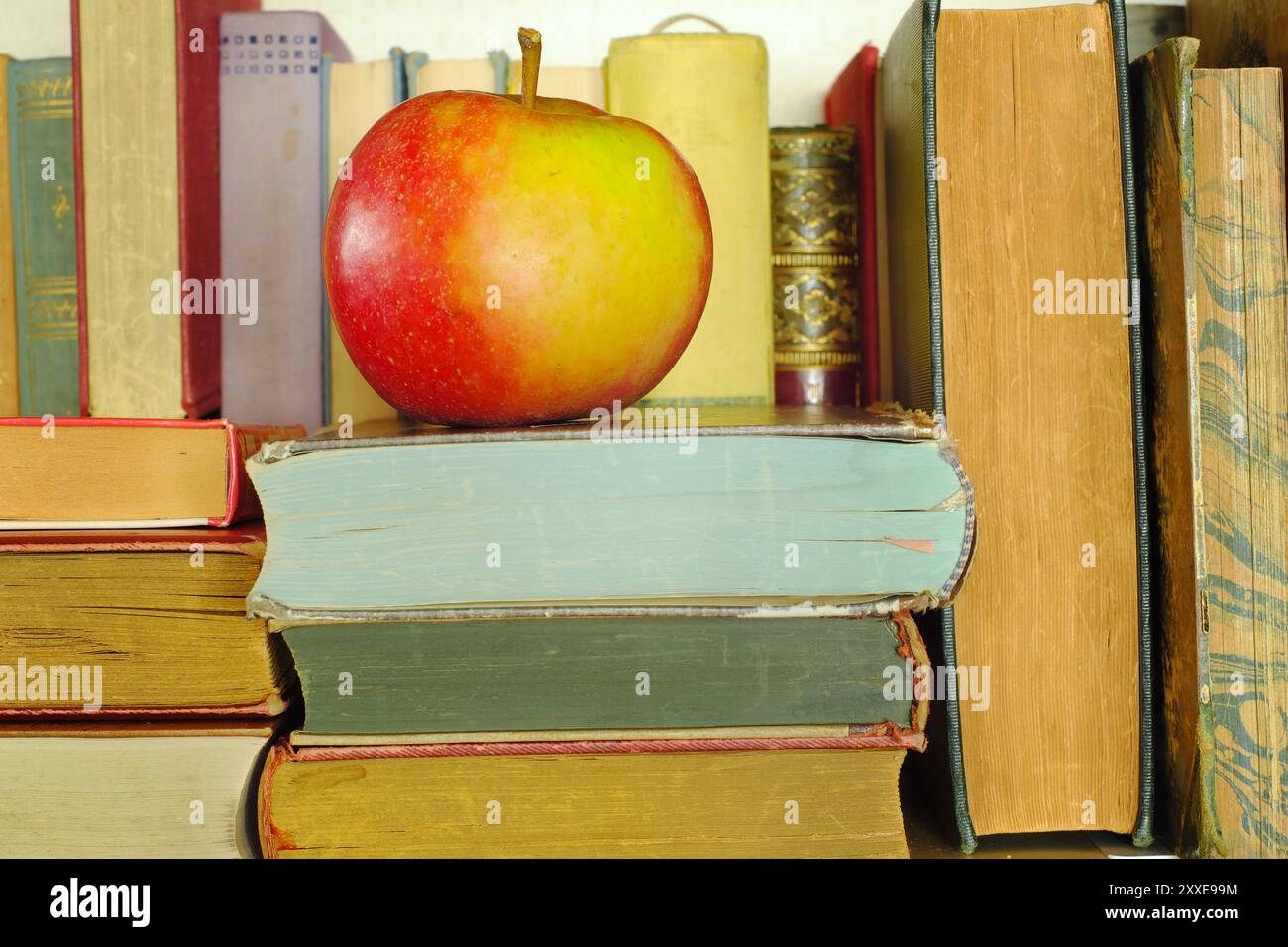 Back to school uk hi-res stock photography and images - Alamy