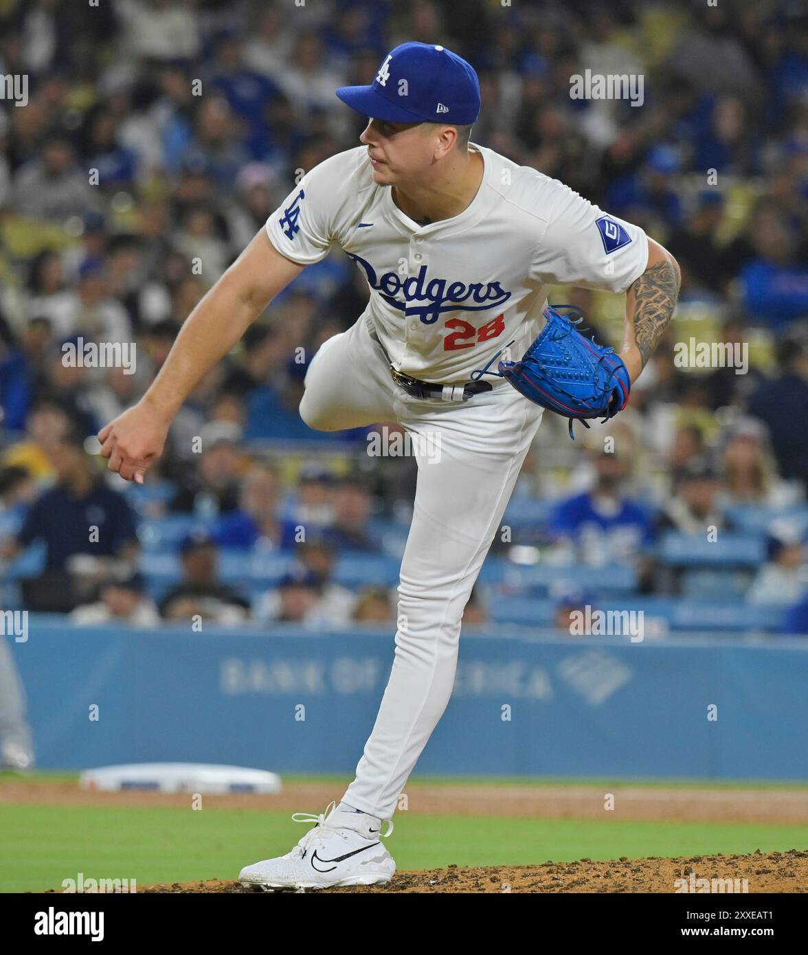Tampa bay rays los angeles dodgers mlb stadium hi-res stock photography ...