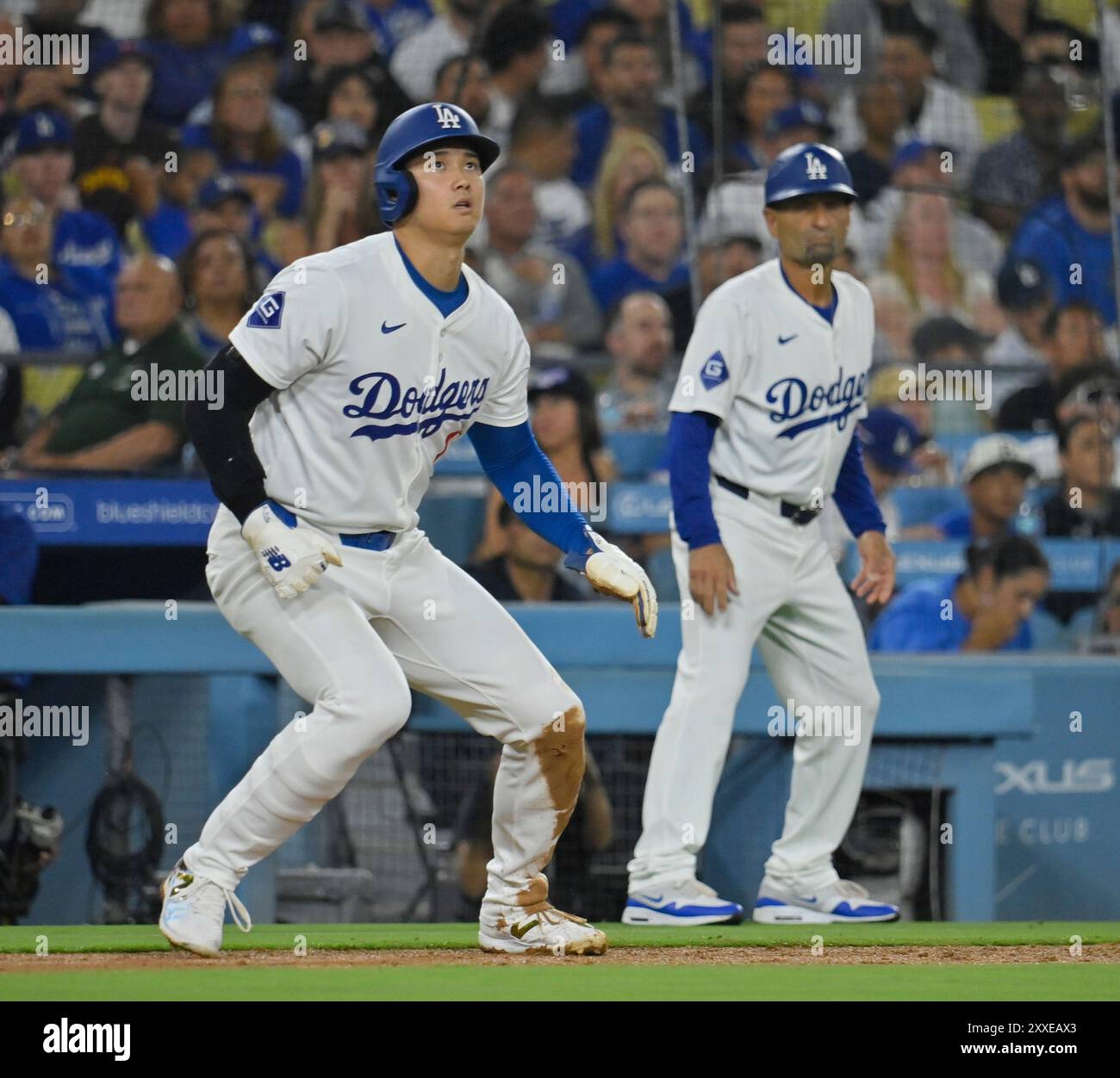 Los Angeles, United States. 23rd Aug, 2024. Los Angeles Dodgers DH ...