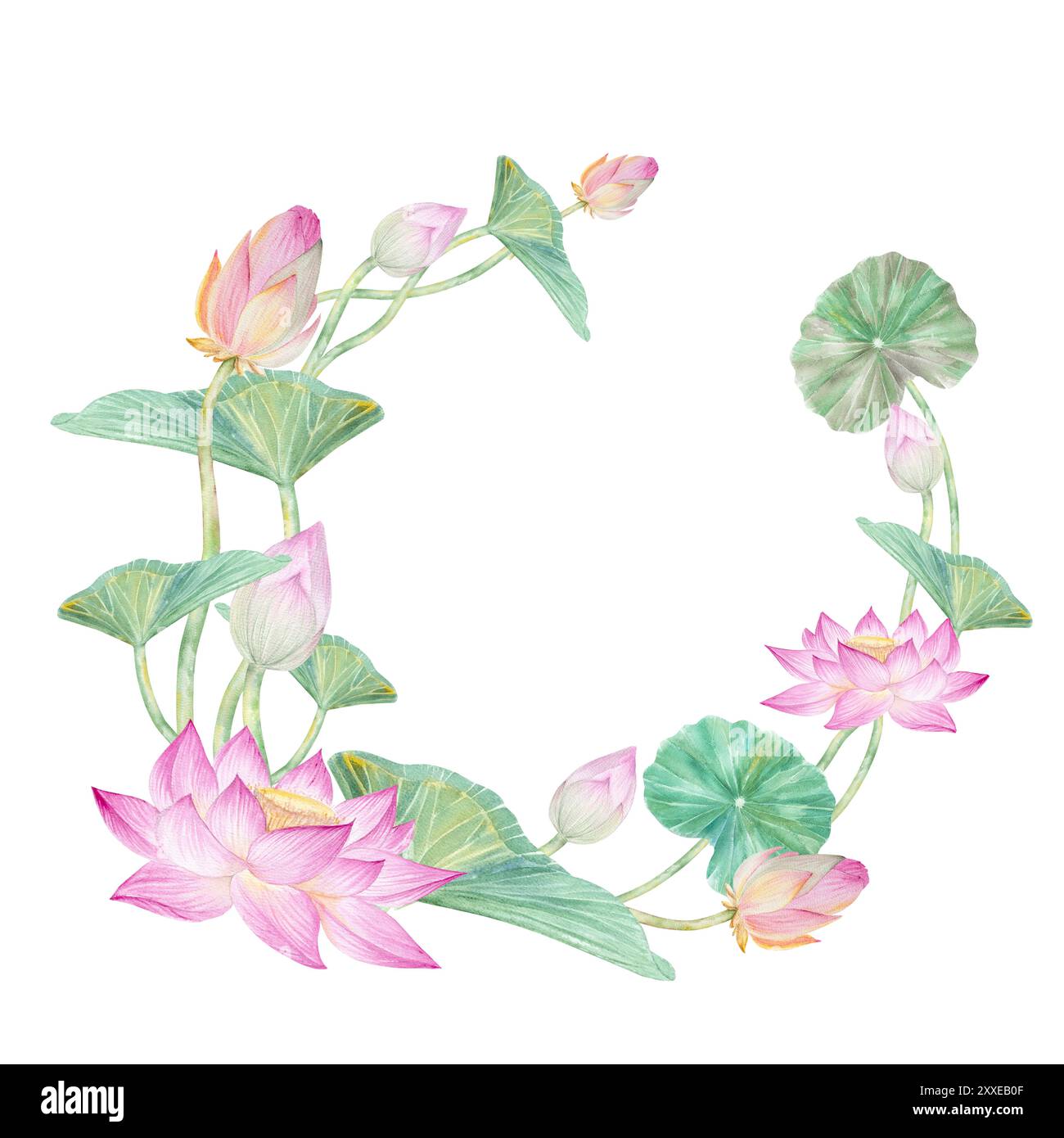 Lotus frame. Watercolor illustration lotuses and leaves hand drawn ...