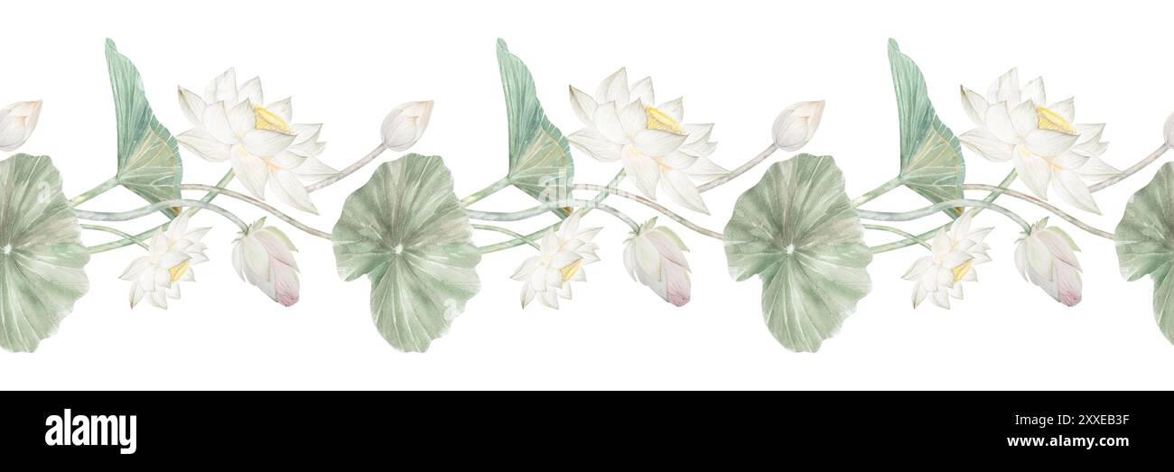 Seamless border of lotus,seeds and leaves.Watercolor illustration lotus ...