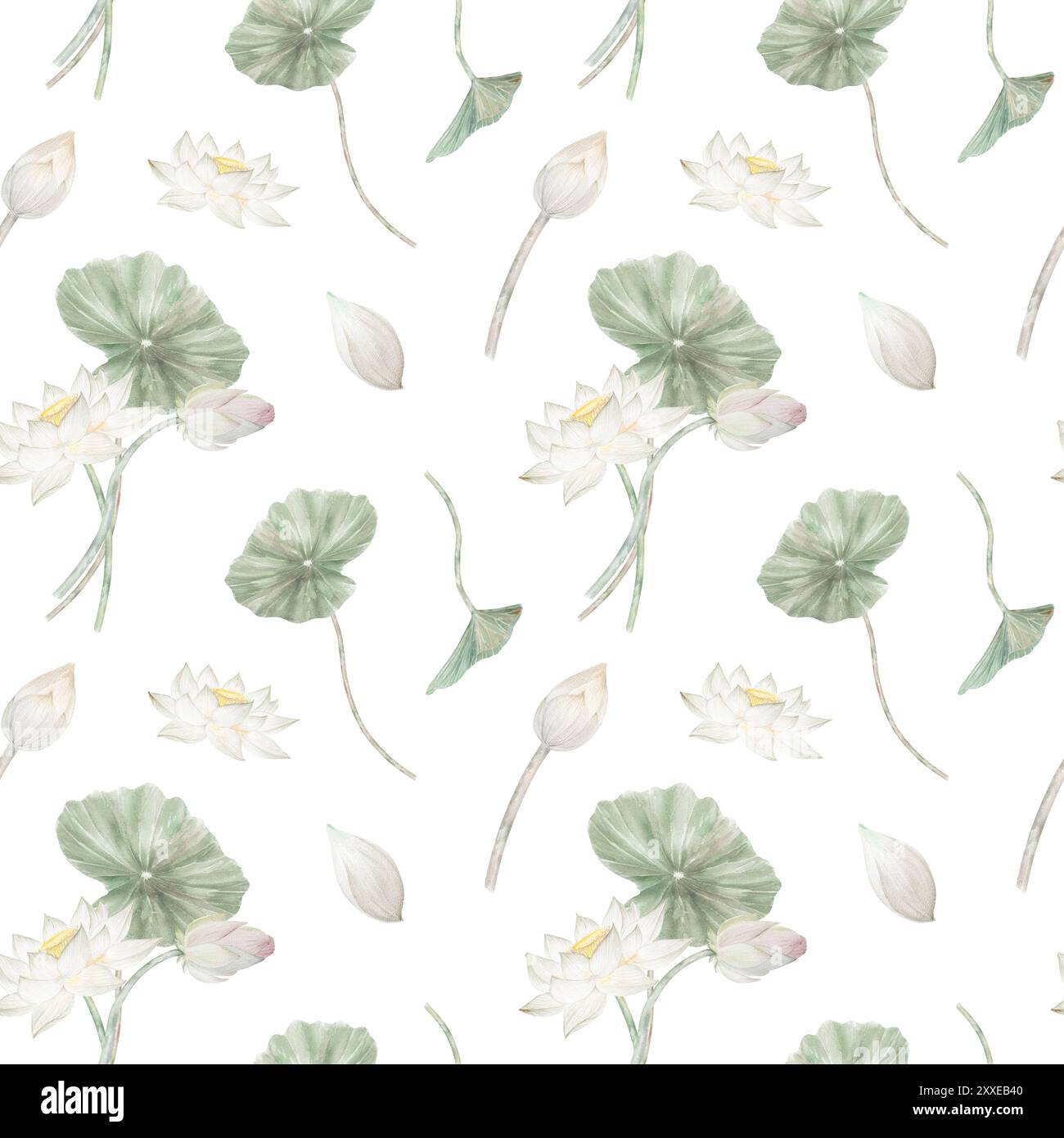 Seamless pattern with watercolor flowers lotuses lotuses, buds and ...
