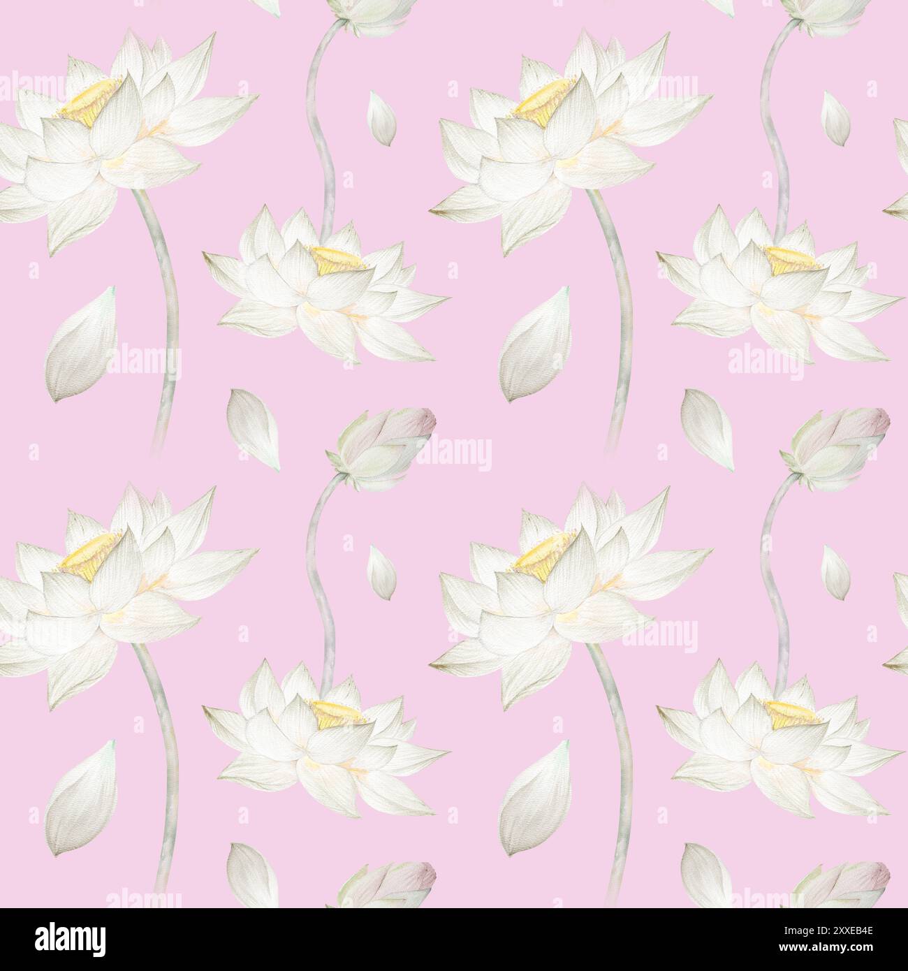 Seamless pattern with watercolor flowers lotuses lotuses, buds and ...