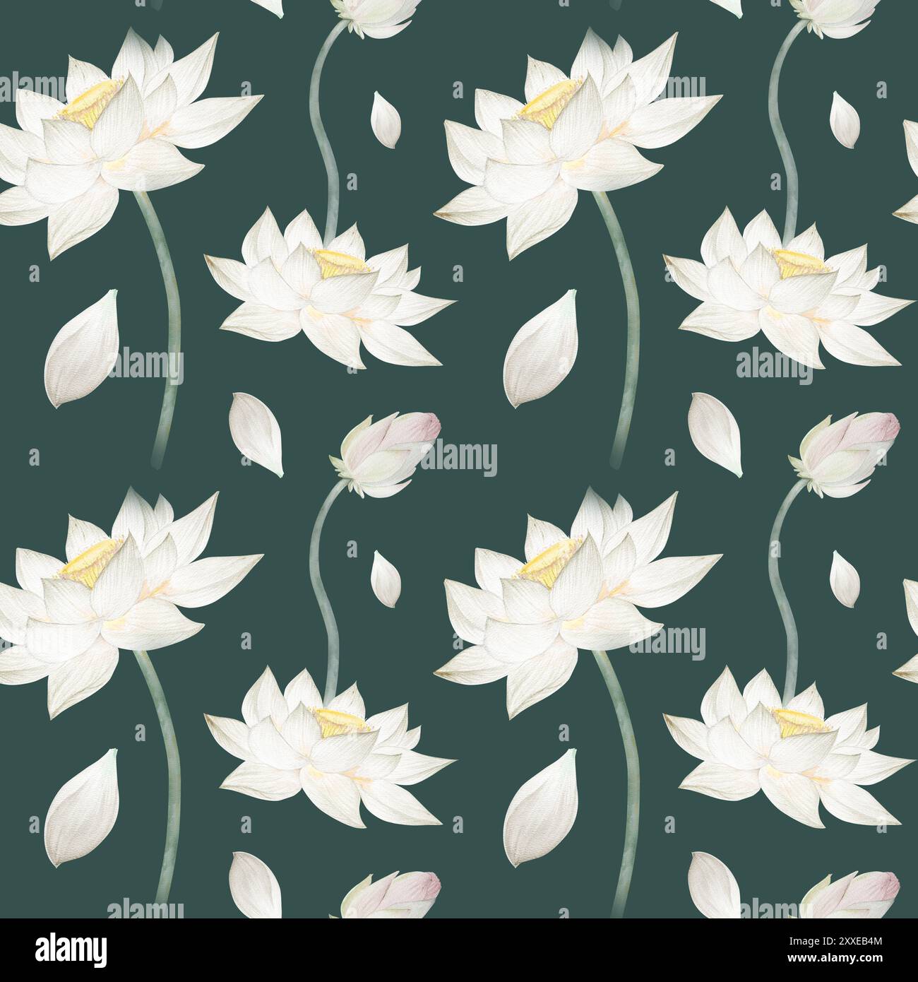 Seamless pattern with watercolor flowers lotuses lotuses, buds and ...