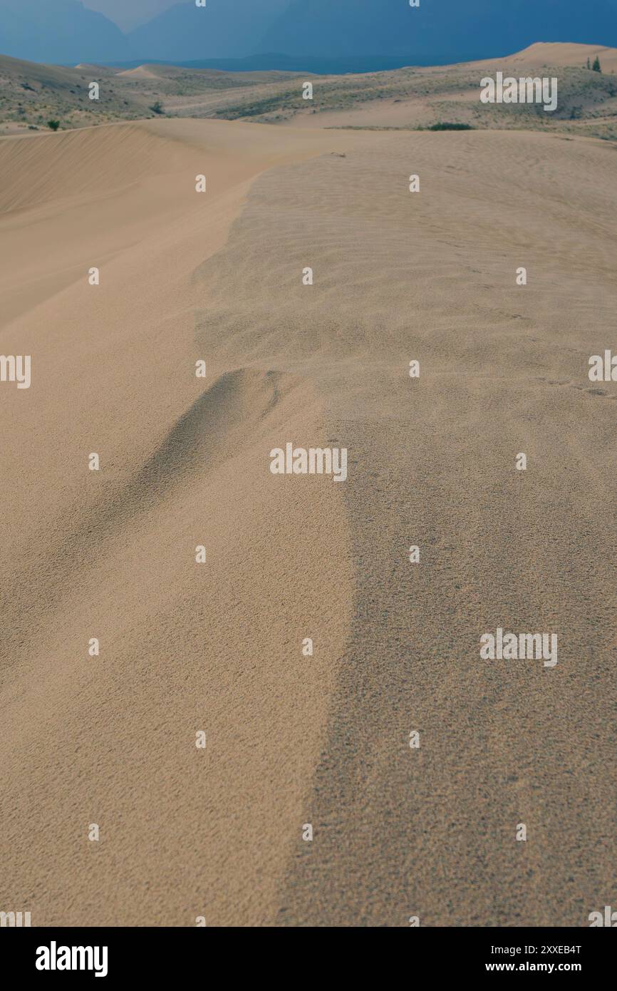 A close-up view of wind-swept desert dunes, with fine sand patterns ...