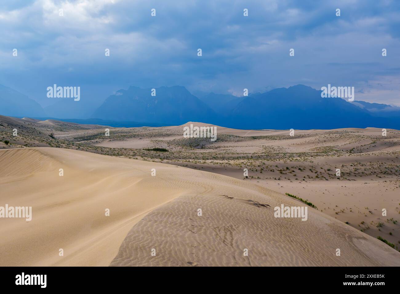 A vast landscape of rolling desert dunes under a dramatic sky, with ...