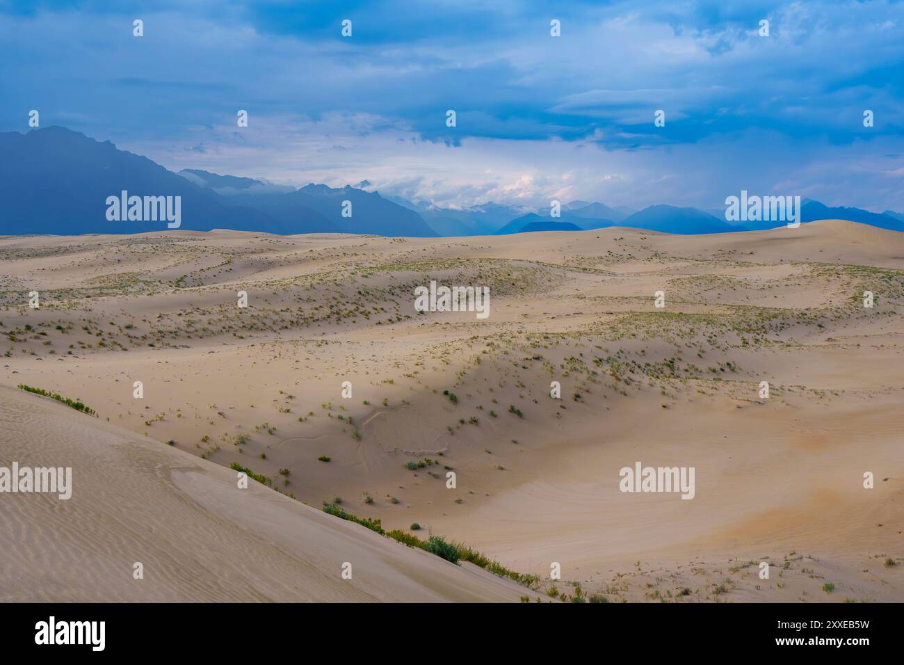 A vast landscape of rolling desert dunes under a dramatic sky, with ...