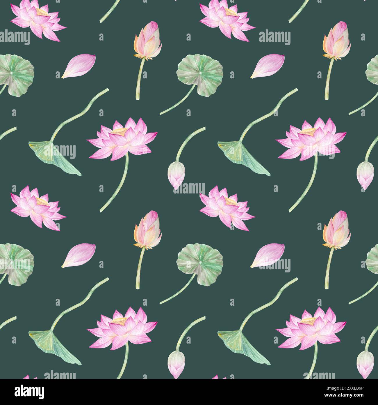 Seamless pattern with watercolor flowers lotuses lotuses, buds and ...