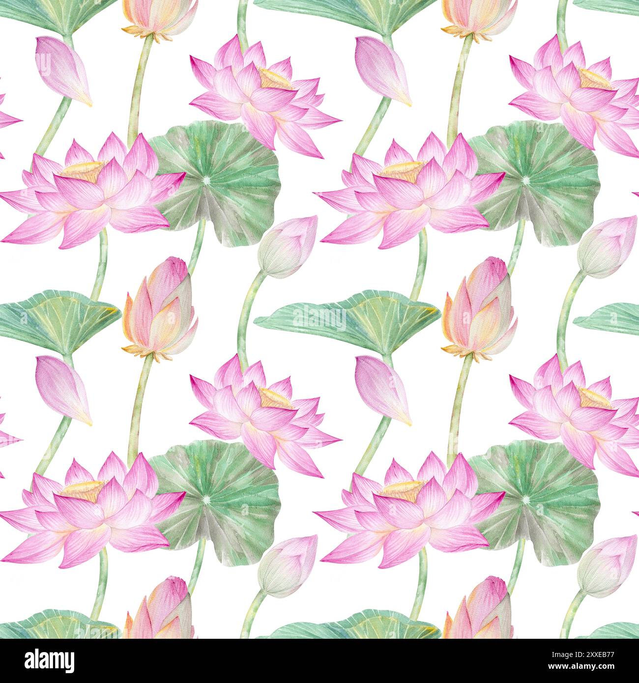 Seamless pattern with watercolor flowers lotuses lotuses, buds and ...