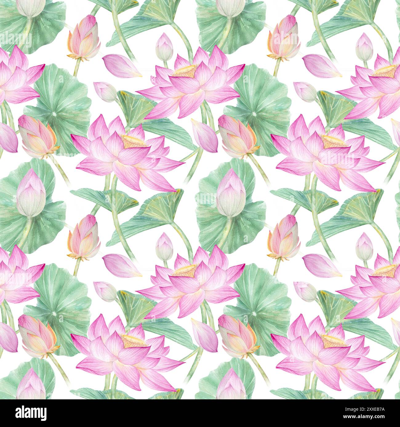 Seamless pattern with watercolor flowers lotuses lotuses, buds and ...