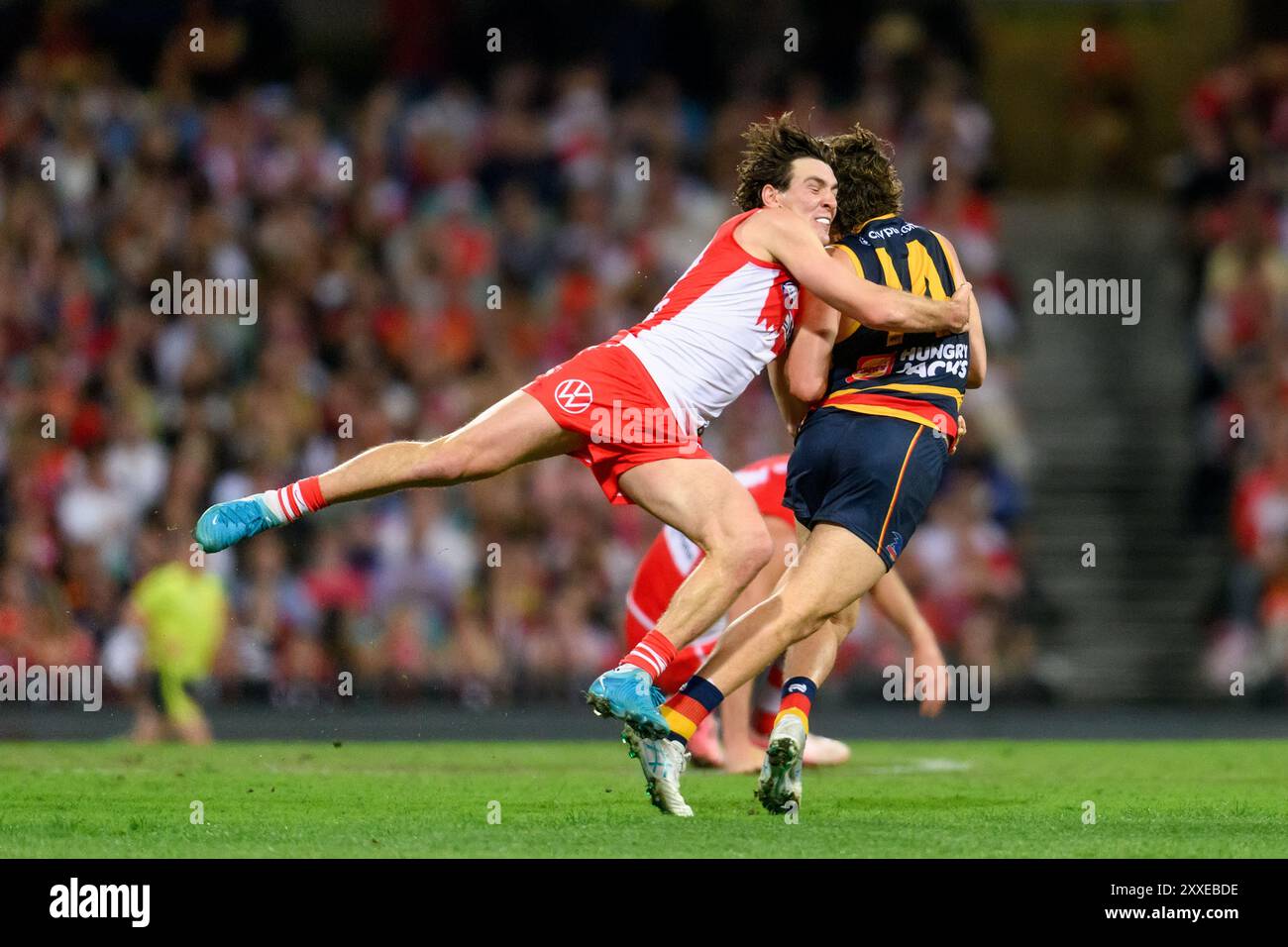 Sydney, Australia. 24th Aug, 2024. Errol Gulden of the Sydney Swans ...