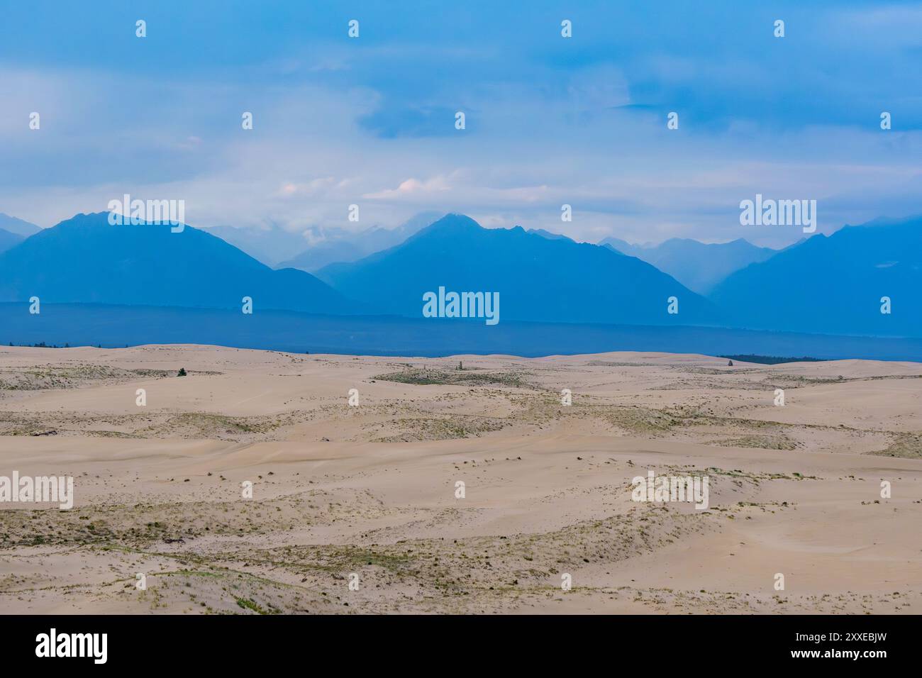 A vast landscape of rolling desert dunes under a dramatic sky, with ...