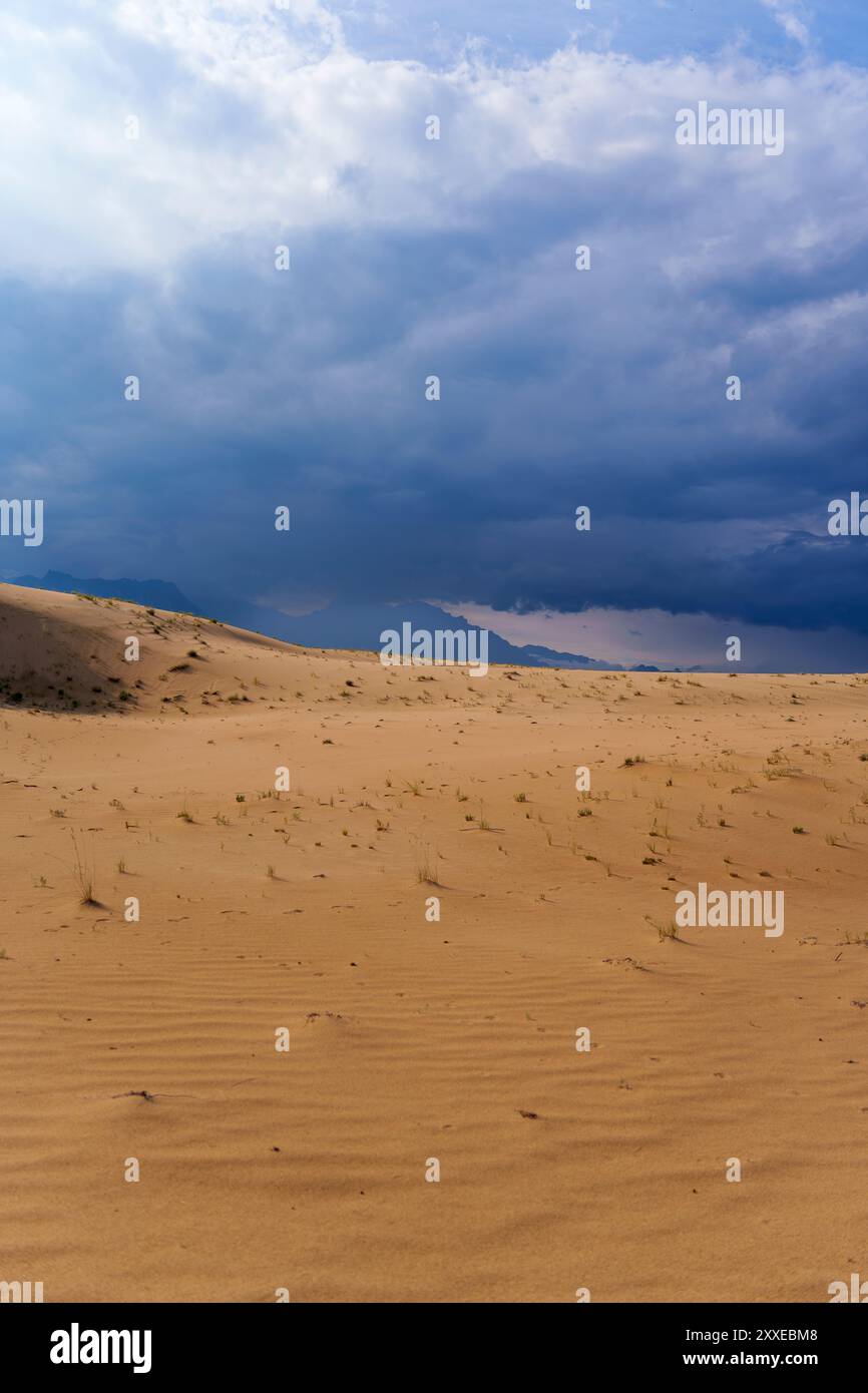 A vast expanse of sand dunes stretches under a dramatic, cloudy sky ...