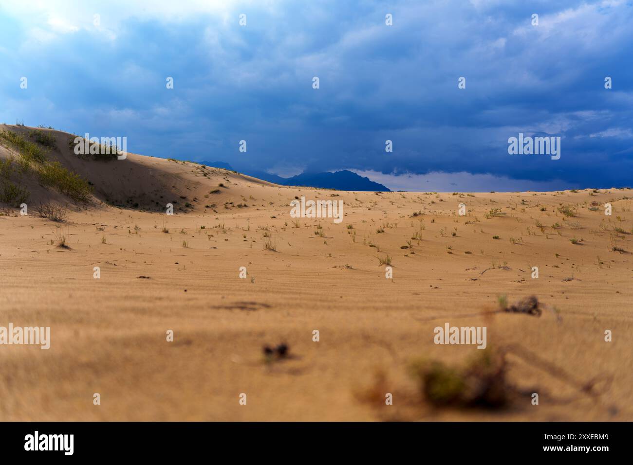A vast expanse of sand dunes stretches under a dramatic, cloudy sky ...
