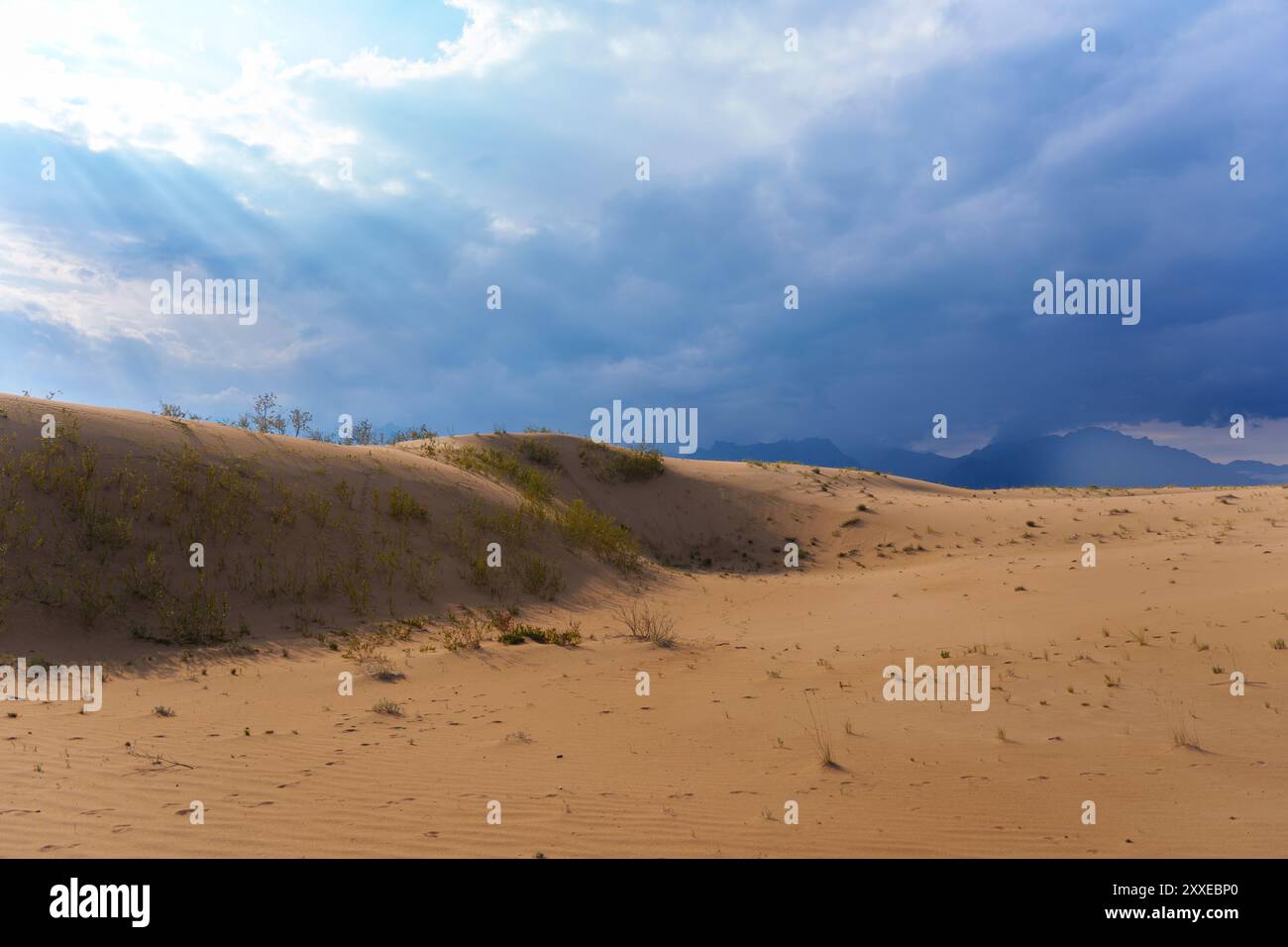 A vast expanse of sand dunes stretches under a dramatic, cloudy sky ...
