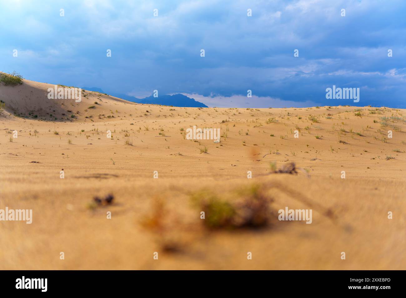 Sparse patches hi-res stock photography and images - Alamy