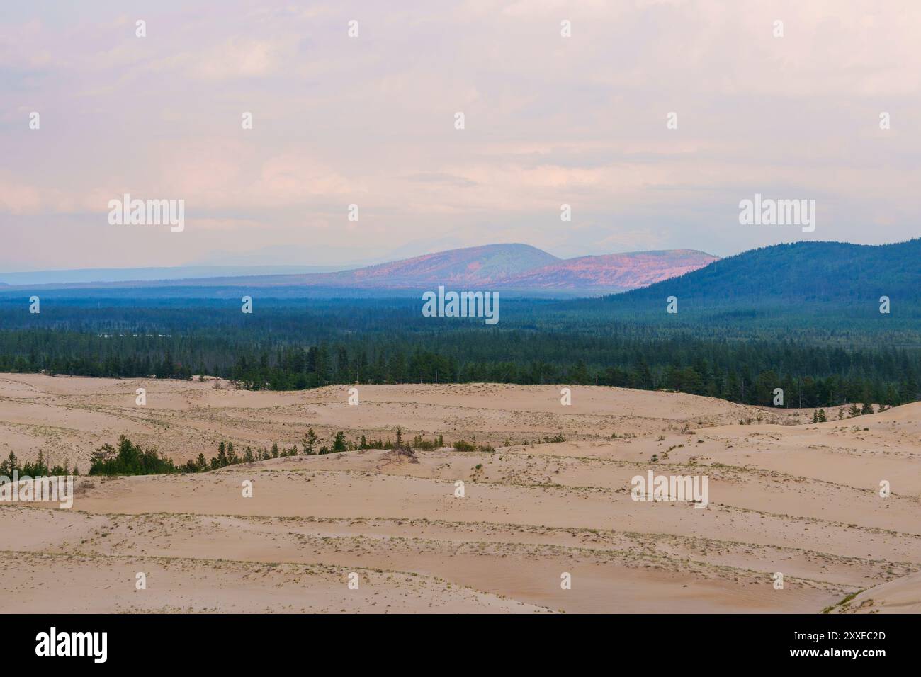 A vast landscape of rolling desert dunes under a dramatic sky, with ...