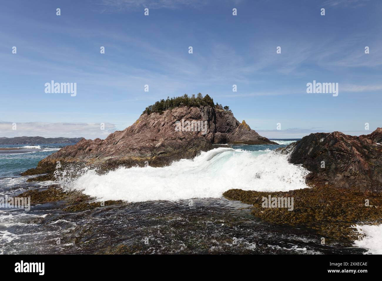 Chance Cove Hiking Trail overlooking the Atlantic Ocean along Canada's ...