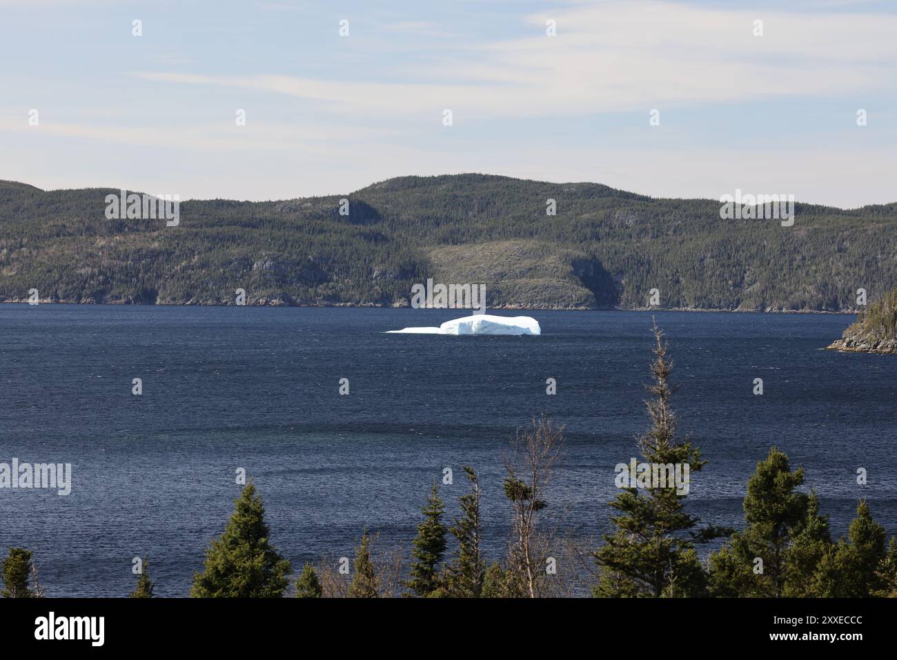 Iceberg Brighton, Canada, Newfoundland and Labrador Stock Photo - Alamy