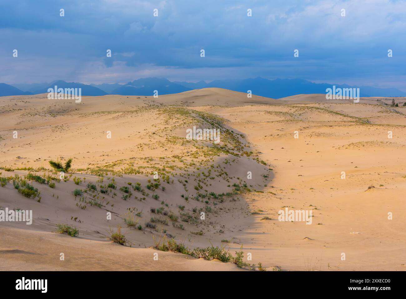 A vast landscape of rolling desert dunes under a dramatic sky, with ...