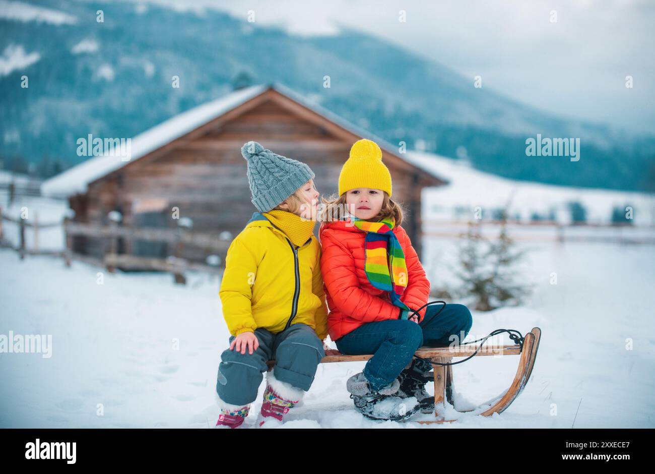 Children sledding, riding a sledge. Children son and daughter play in ...