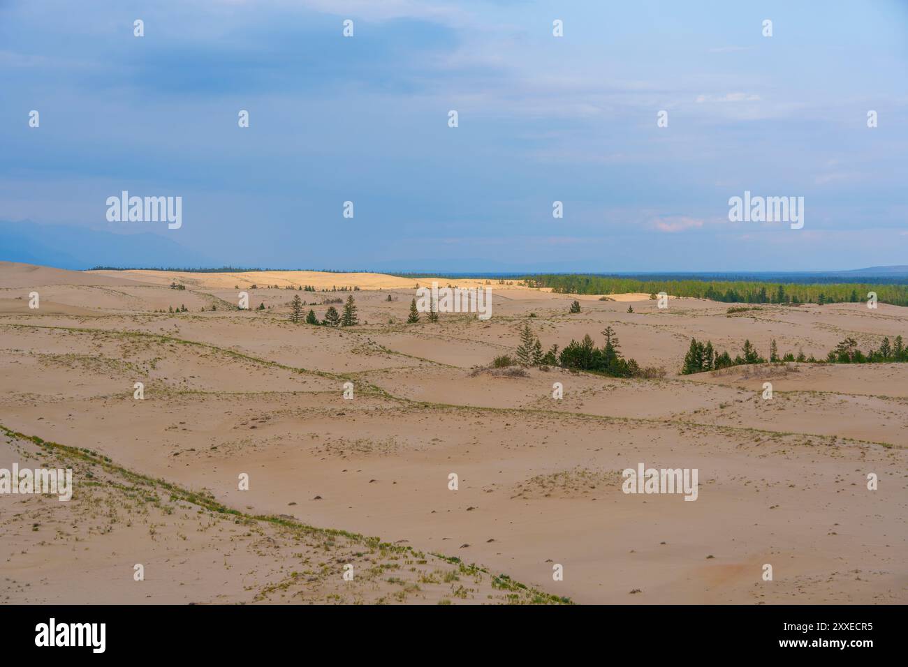 A vast landscape of rolling desert dunes under a dramatic sky, with ...