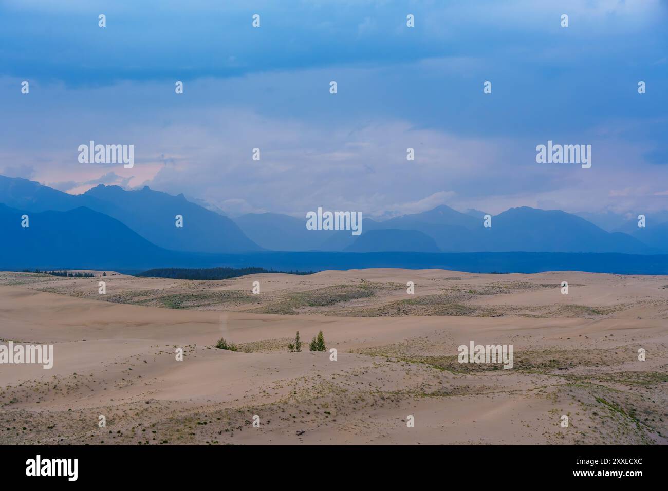 A vast landscape of rolling desert dunes under a dramatic sky, with ...