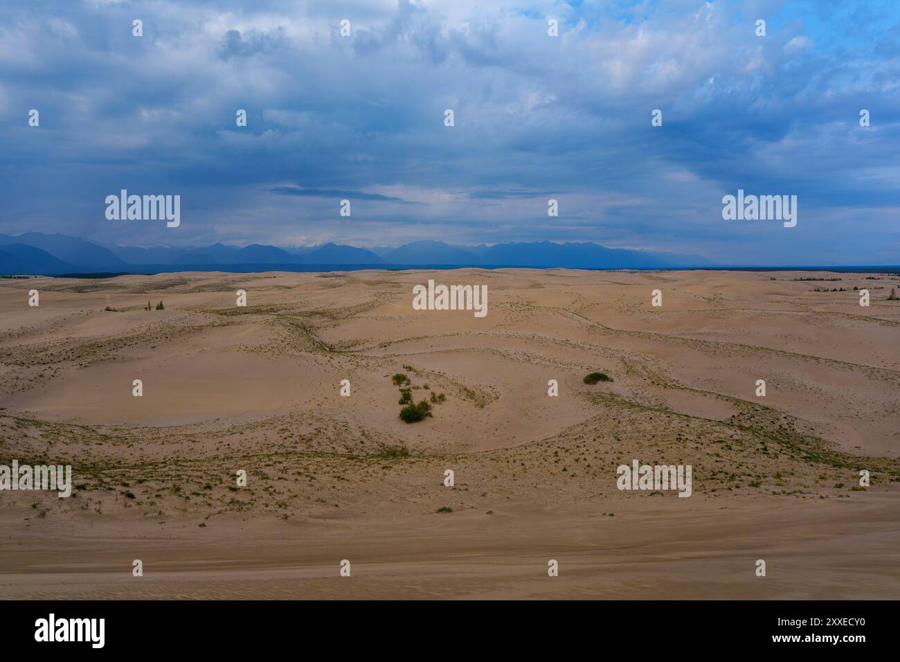 A vast landscape of rolling desert dunes under a dramatic sky, with ...