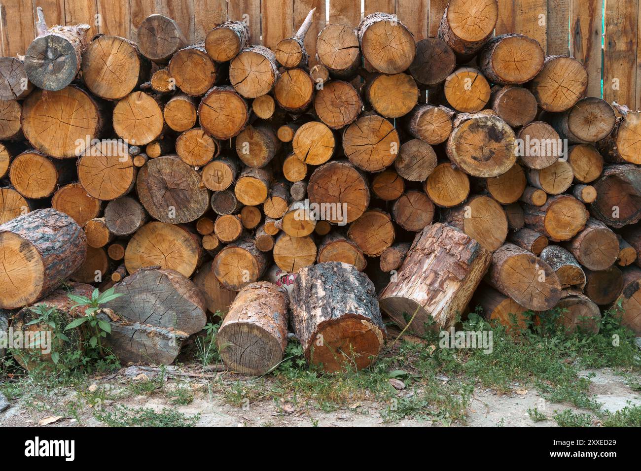 A neatly stacked pile of firewood logs placed against a wooden fence ...