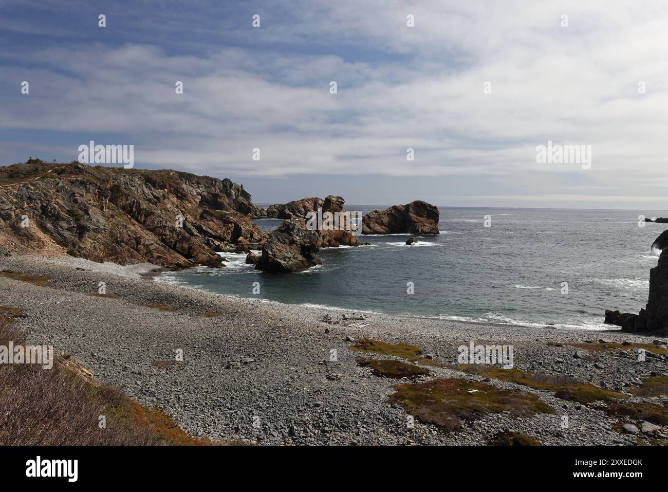 Spillers cove trail hi-res stock photography and images - Alamy