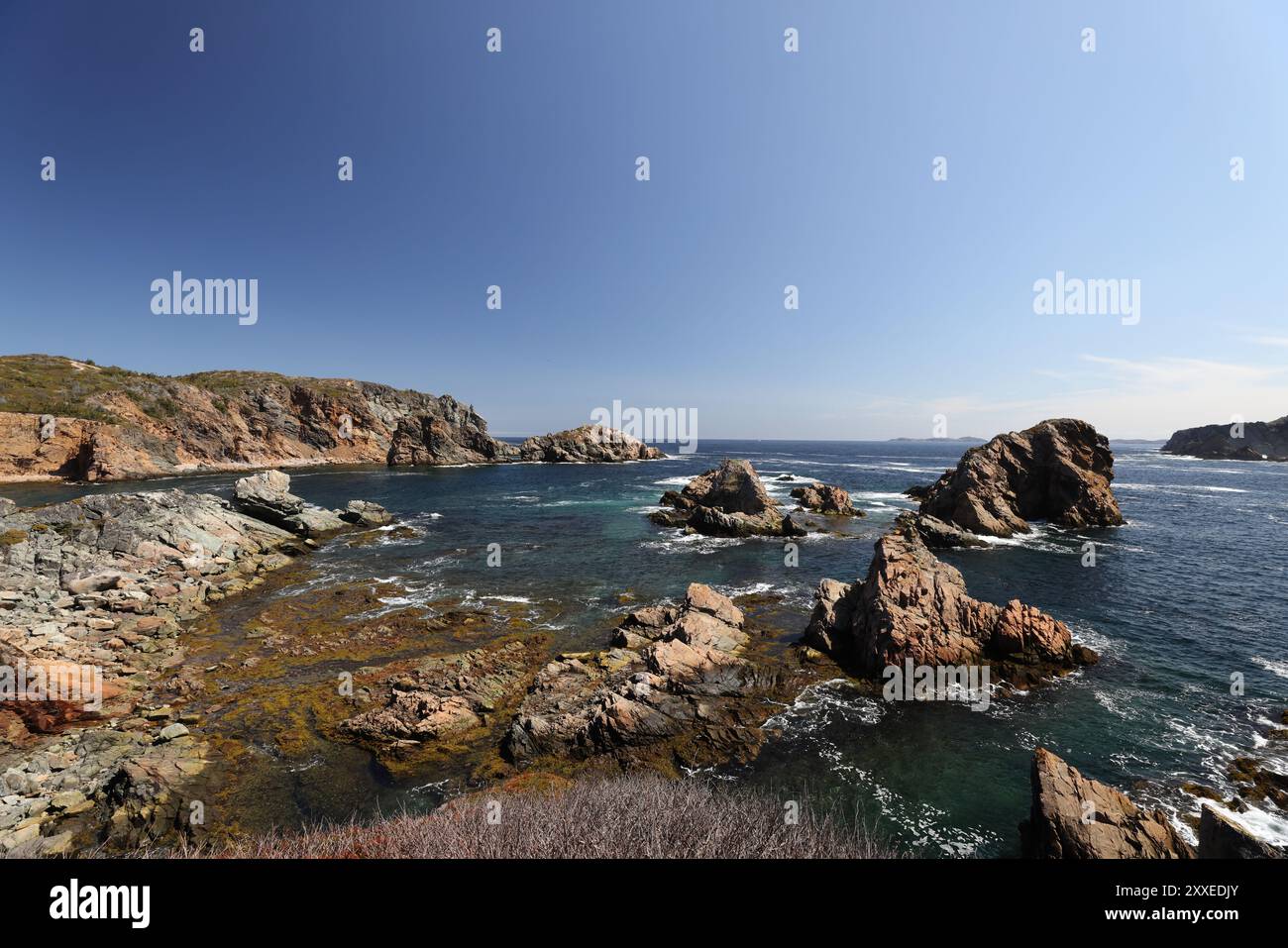 Spillers cove trail hi-res stock photography and images - Alamy