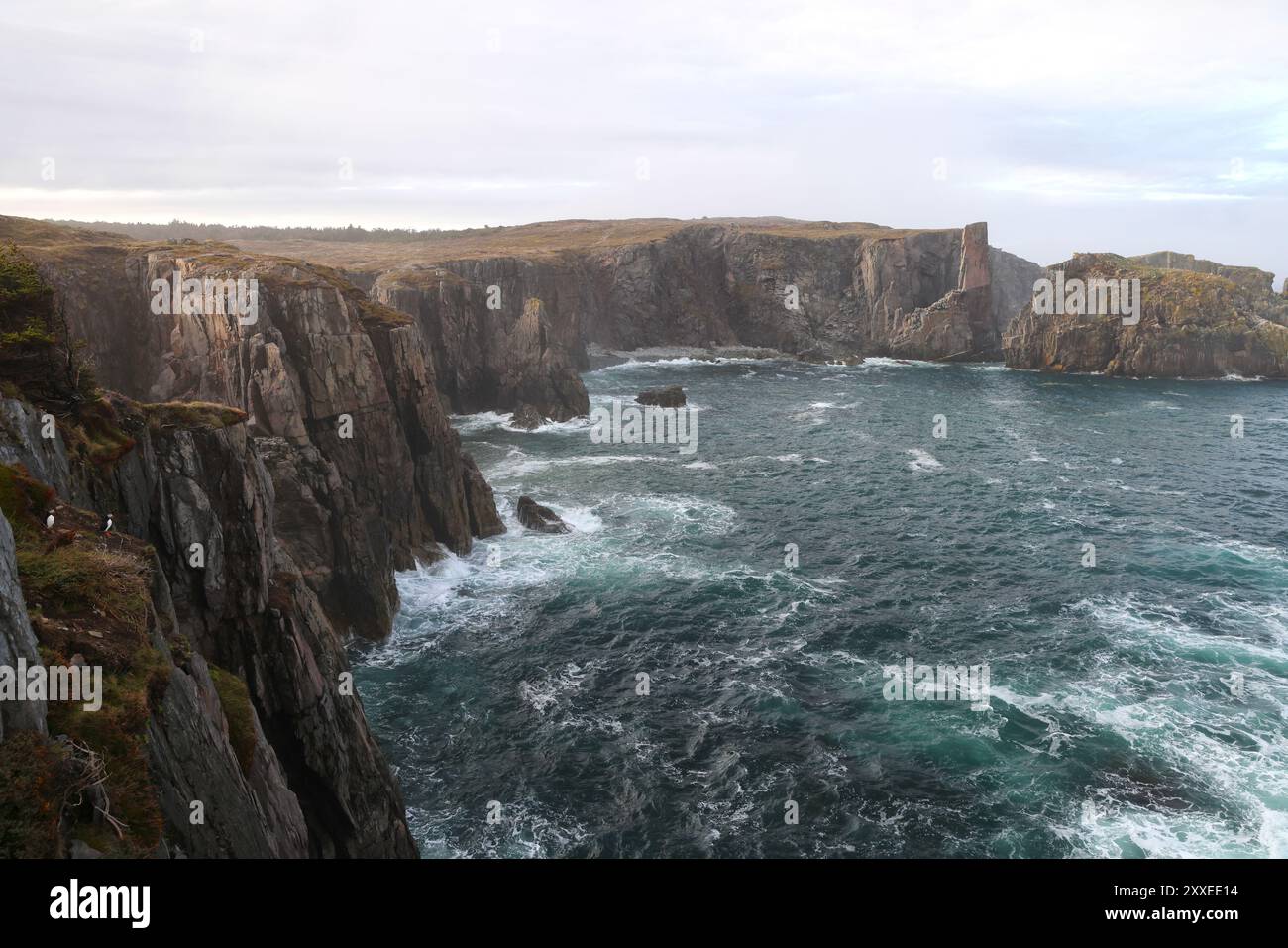 The Chimney, at Spillars Cove in Newfoundland and Labrador, Canada ...