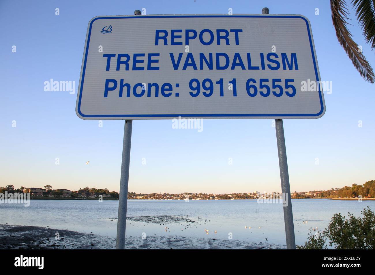 Report tree vandalism sign next to Hen and Chickne Bay on the ...