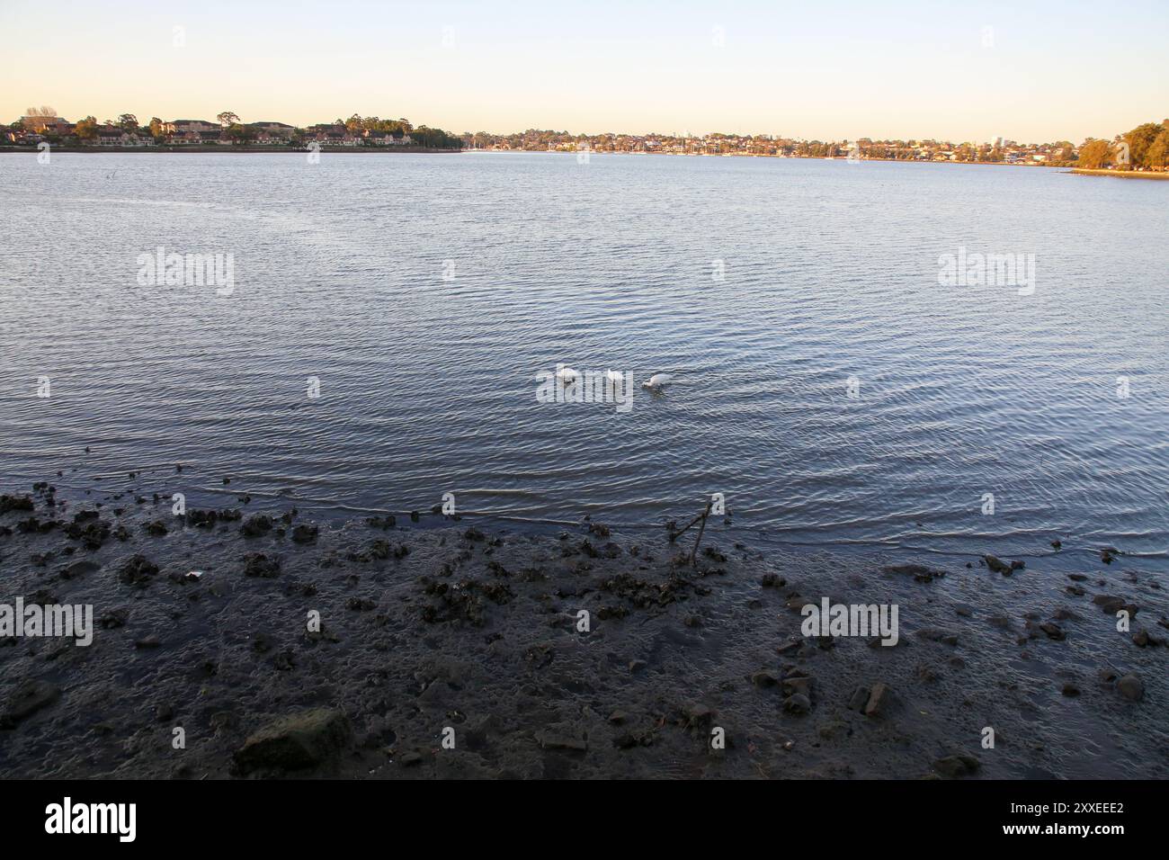 Hen and Chickne Bay on the Parramatta River near the Sydney suburb of ...