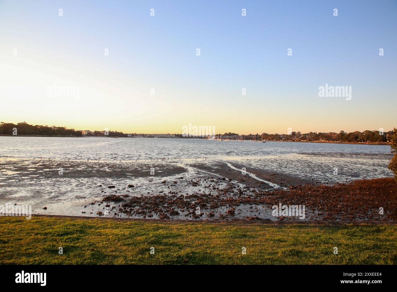 View of Hen and Chicken Bay on the Parramatta River from the Sydney ...