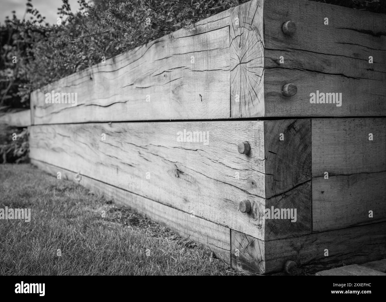 Light table garden Black and White Stock Photos & Images - Alamy