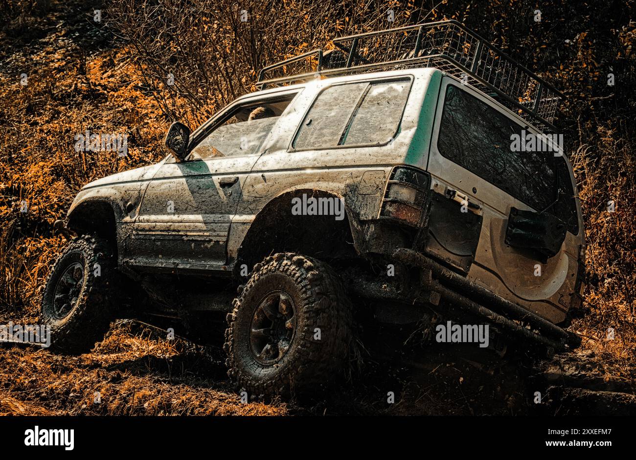 Drag racing car burns tires hi-res stock photography and images - Alamy
