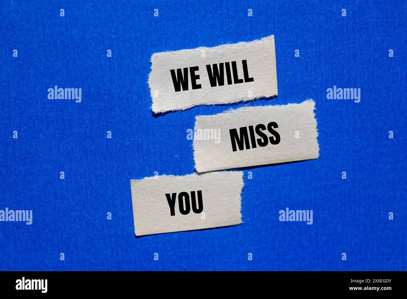 We will miss you message written on ripped torn paper peices with blue background. Conceptual we ...